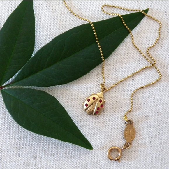 Catherine Popesco | Jewelry | Catherine Popesco Lucky Ladybug Necklace ...